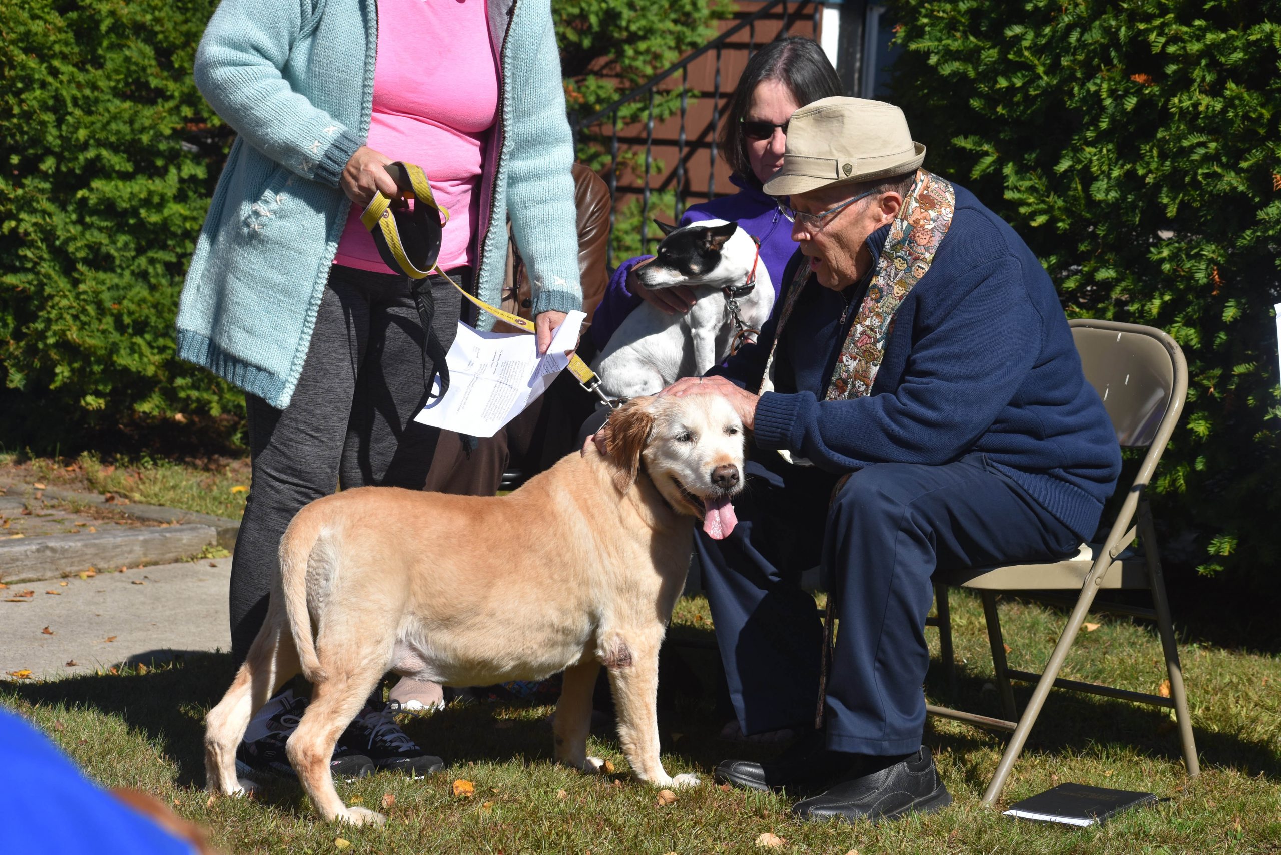 St. Luke’s plans Blessing of the Animals Oct. 3 | News, Sports, Jobs ...